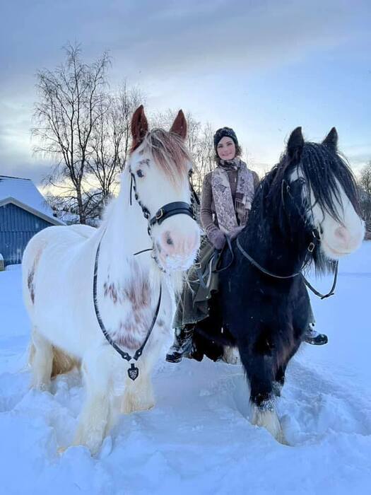 Norsk Gypsy Cob Forening